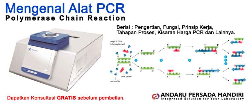 PCR - Polymerase Chain Reaction : Pengertian, Fungsi, Tahapan